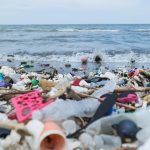World Environment Day: Global Focus on Beating Plastic Pollution ...
